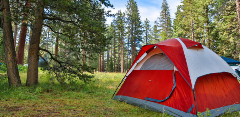 The Ultimate Guide to Shenandoah Camping | Front Royal Outdoors