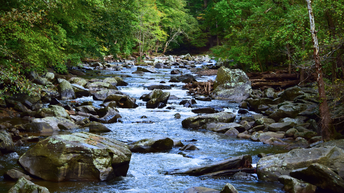 DC Heat Wave: 5 Fun Ways to Beat the Heat | FRO