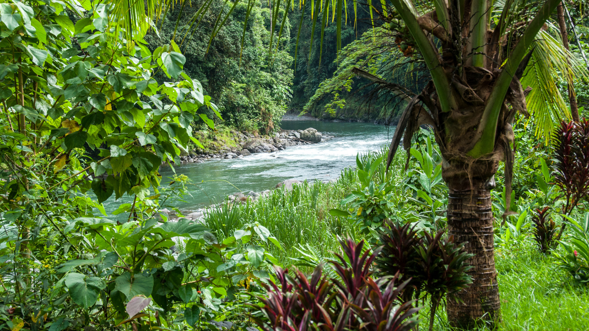 Your Guide to the ULTIMATE Adventure Tour in Costa Rica | FRO