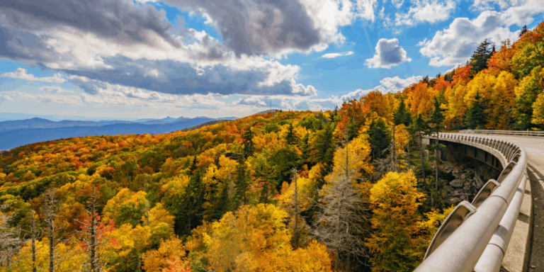 Virginia Fall Foliage: Our Favorite Time on the Shenandoah | Front ...